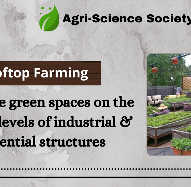 Aeroponic- Process Of Growing Plants In Air Medium | Agri-Science ...